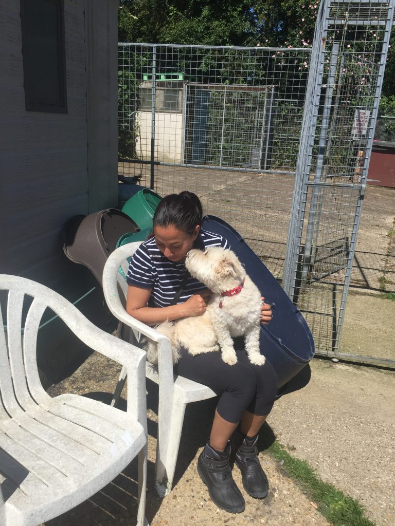 Gallery | Country House kennels & cattery
